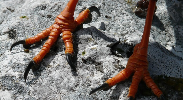 All About Crows Feet: Treatments and Causes | Laser Lipo and Veins