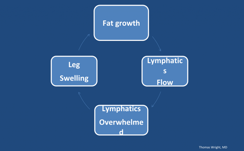 Check Out Our Lipedema Seminar | Lipedema Signs and Symptoms |LLAV