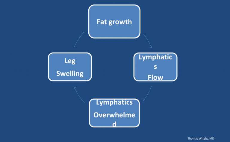 Check Out Our Lipedema Seminar | Lipedema Signs and Symptoms |LLAV